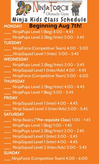 Ninja Obstacle Course - Ninjacore - Albuquerque, NM : Services