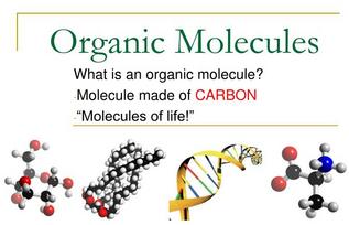 Bkiochem/organic chem