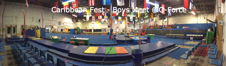 Home [www.gforce-gymnastics.com]