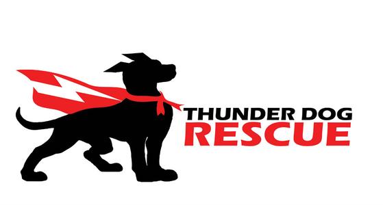 Rescue Dogs And Puppies For Adoption, Dog Rescue in Ontario Canada ... Rescue Dogs And Puppies For Adoption, Dog Rescue in Ontario Canada ...
