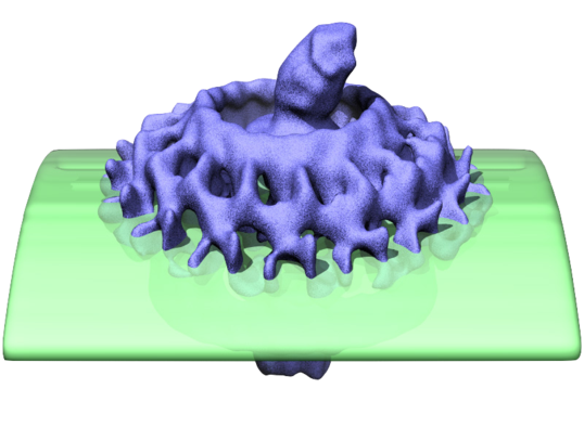 The Liu Lab Cryo Electron Tomography At Yale