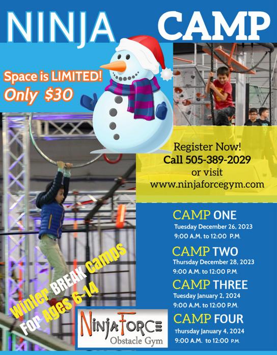 Ninja Obstacle Course - NinjaForce Gym formerly NinjaCore Gym