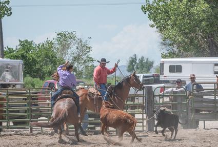 Home [www.thecowboylife.com]