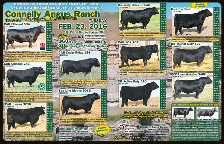 Home [www.connellyangus.com]