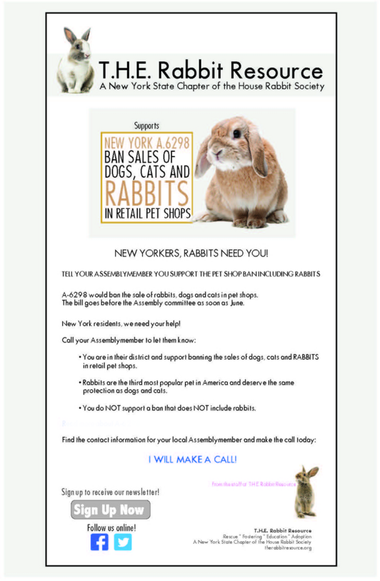 Home [www.therabbitresource.org]