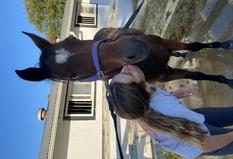 Home [www.autumngrovestables.net]