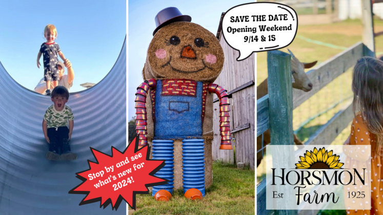 Home [www.horsmonfarm.com]