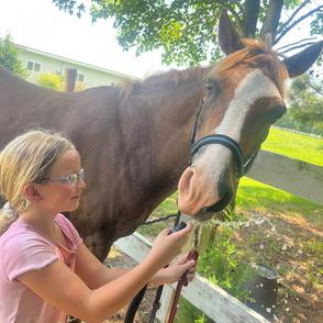 Home [www.autumngrovestables.net]