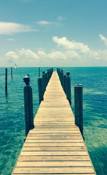 Home [www.andrewplusjamie.com]