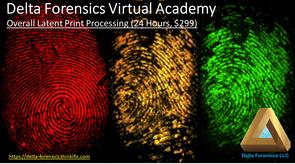 Delta Forensics - Online Training, Forensic Training