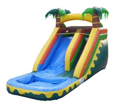 Water Slides Rentals AZ - Inflatable Water Slides Rentals AZ