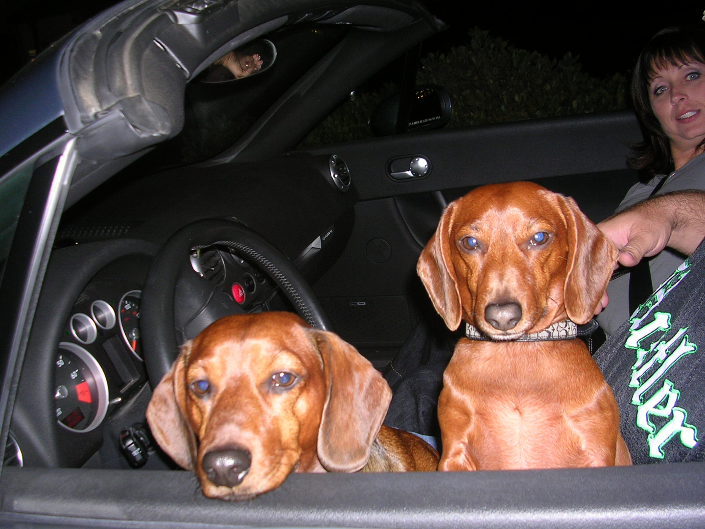 Criminal Defense Attorney Marc McBride