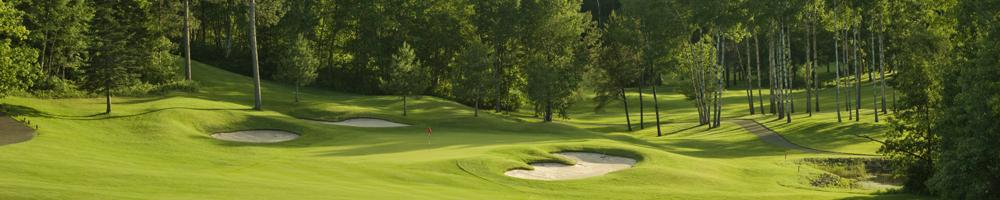 Projects | Larson Golf Services, LLC