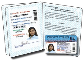 Itac International Driver License - International Driver License