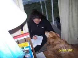 Home [www.lizrizzo.com]