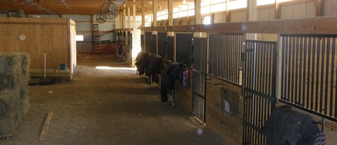 RK Moonlight Stables: Home: Horse Boarding, Lessons, Training