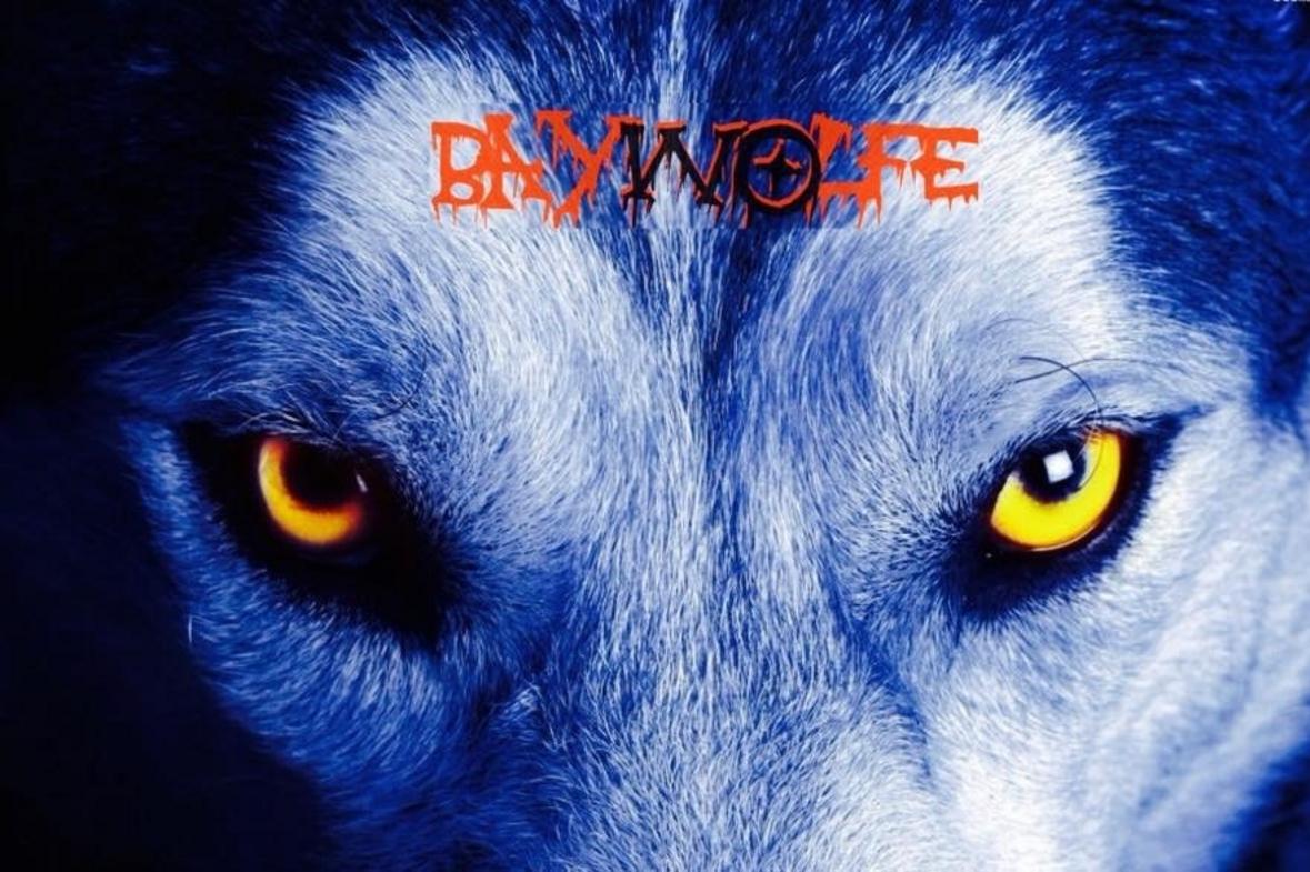 Baywolfe - Live Music Band, Entertainment, Party Entertainment