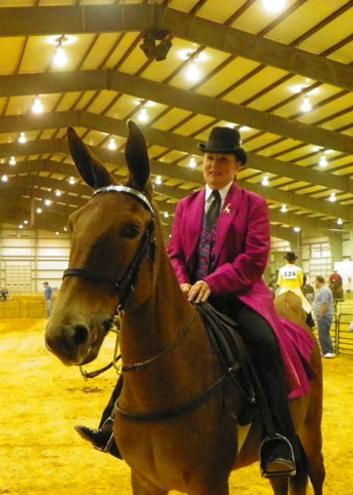 Home [www.americangaitedmule.com]