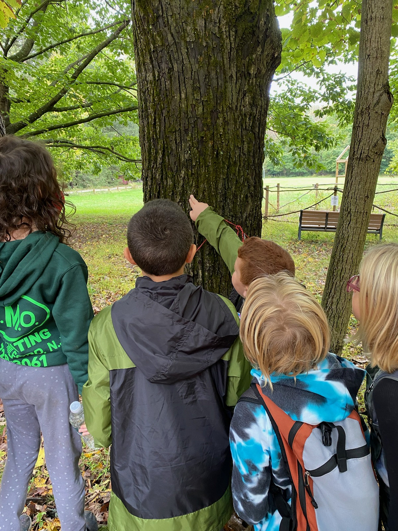 One-Day Nature Programs