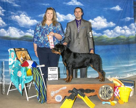 Legendary Rottweilers, German Rotts, ADRK lines, German Rottweilers ...