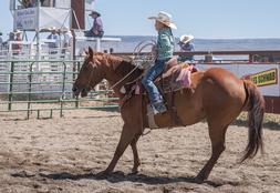 Home [www.thecowboylife.com]