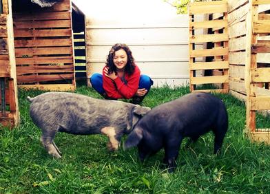 Home [www.helpfulhen.com]