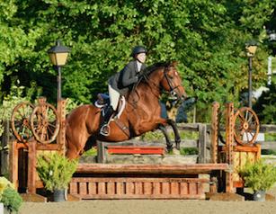 Boarding at Black Ridge Farm