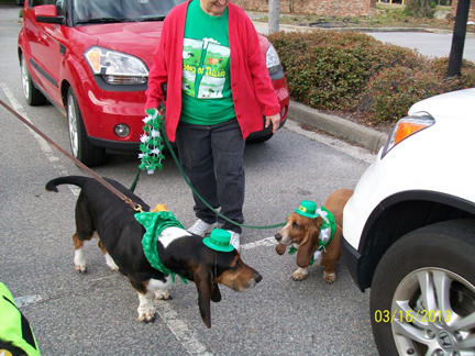 Basset Rescue Crew of The Southeast - Online