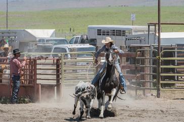 Home [www.thecowboylife.com]