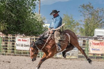 Home [www.thecowboylife.com]