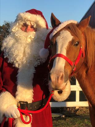 Paws for Reflection Ranch - Counseling, Therapeutic Horseback Riding