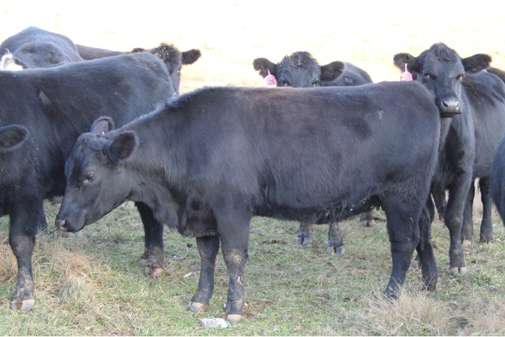 2018 Dec 29 Sundial Farms