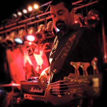 Baywolfe - Live Music Band, Entertainment, Party Entertainment