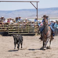 Home [thecowboylife.com]