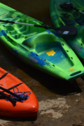 Tar River Life - Kayak & Tubing, Camping