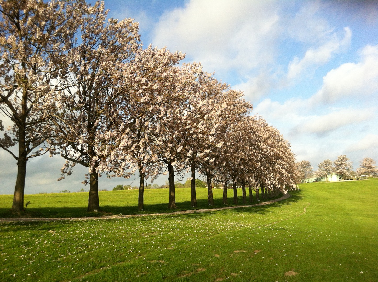 Gary Griffith in Dallas, Tx