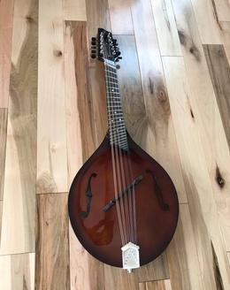 10 string mandolin builder