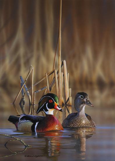 Home [www.richardclifton.com]