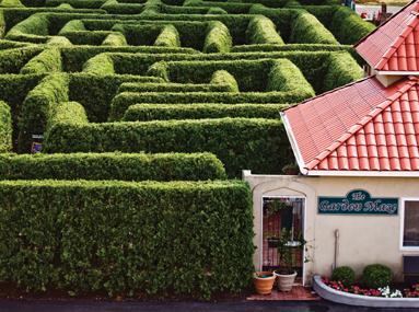 The Garden Maze - Hours & Rates