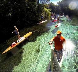 Paddle Boarding Tampa Clearwater Palm Harbor Oldsmar Tarpon Springs ...