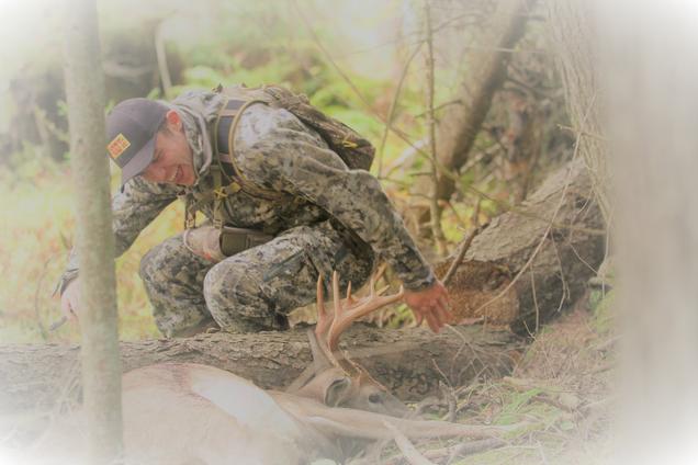 Forfaits chasse au chevreuil | Forfaits avec ou sans guide