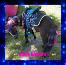 Pretty Pony Parties Houston Tx