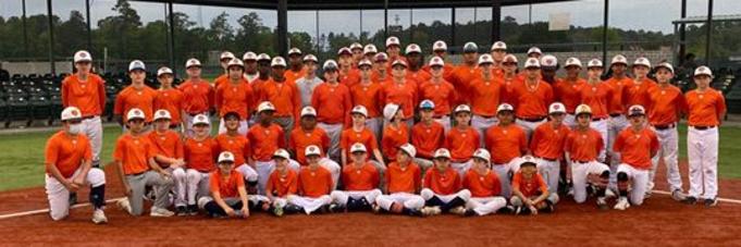 Team Houston Baseball