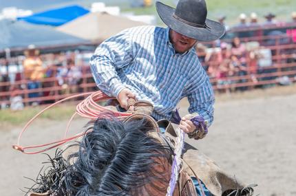 Home [www.thecowboylife.com]