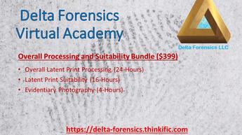 Delta Forensics - Online Training, Forensic Training