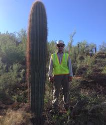 Cactus Removal and Relocation Services