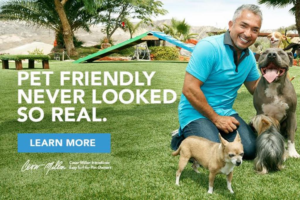 Turf 360 - Artificial Turf Installation, Design, & Service.