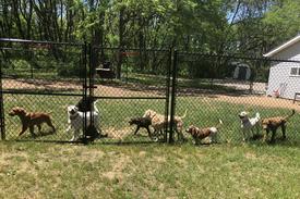 Welcome [www.castle-rock-kennels.com]