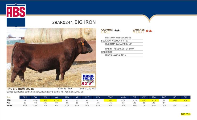 Rafter JM Cattle Co. - Red Angus, Angus Cattle, Black Angus