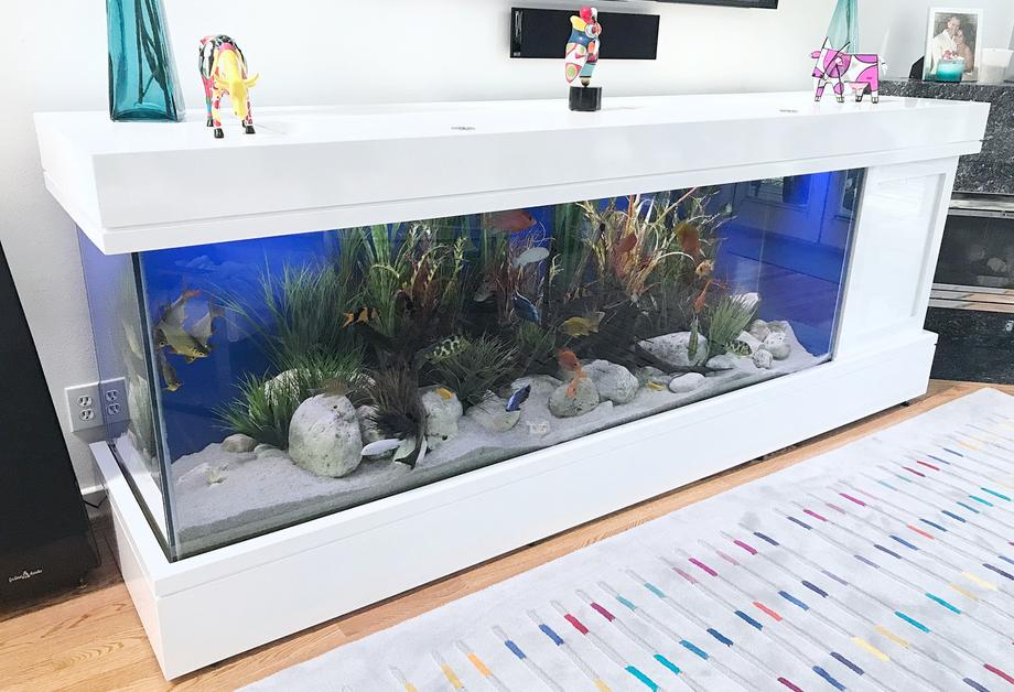 Fish Tank